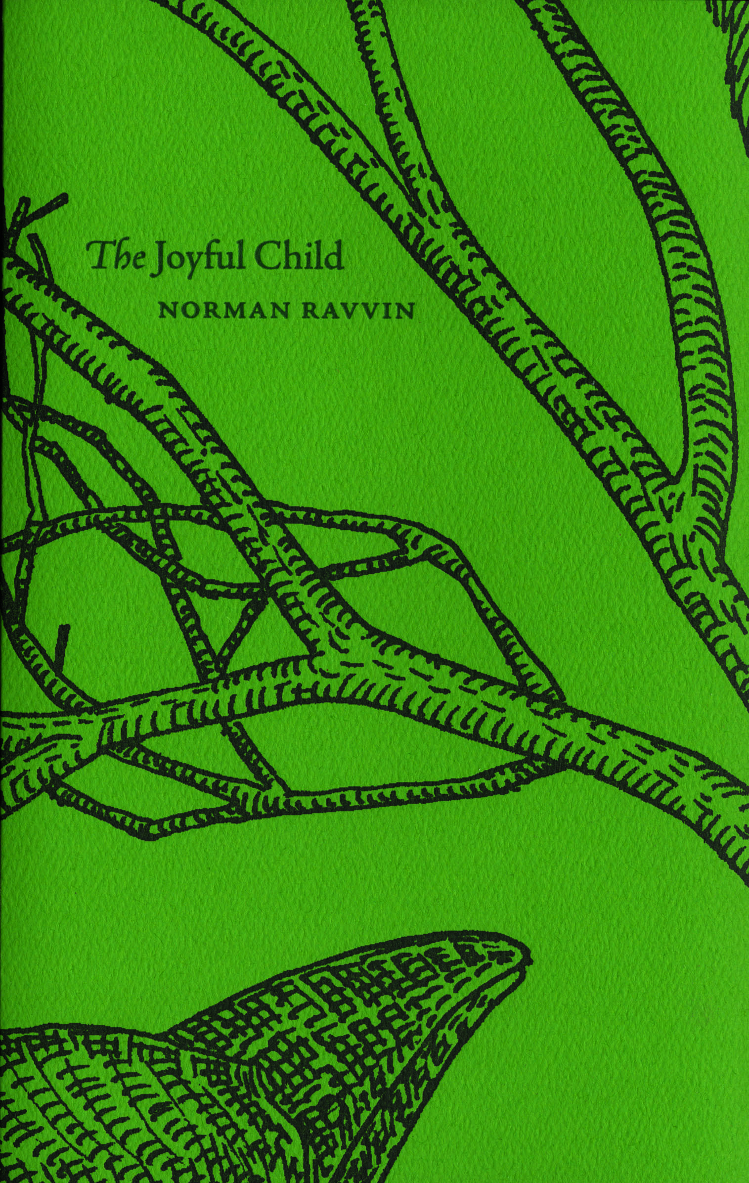 The Joyful Child – Gaspereau Press